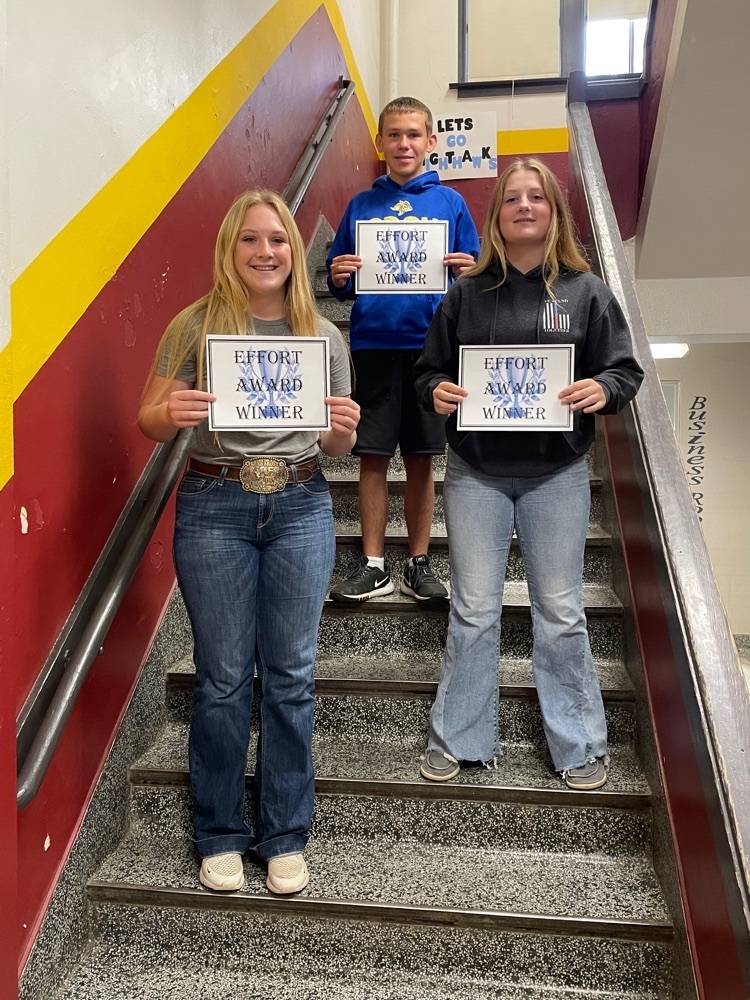 Live Feed | Armour School District